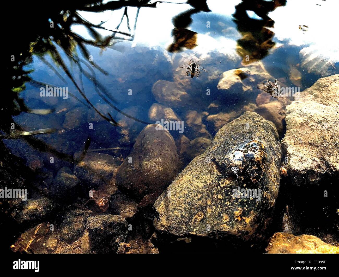 Water rocks pond hi-res stock photography and images - Alamy