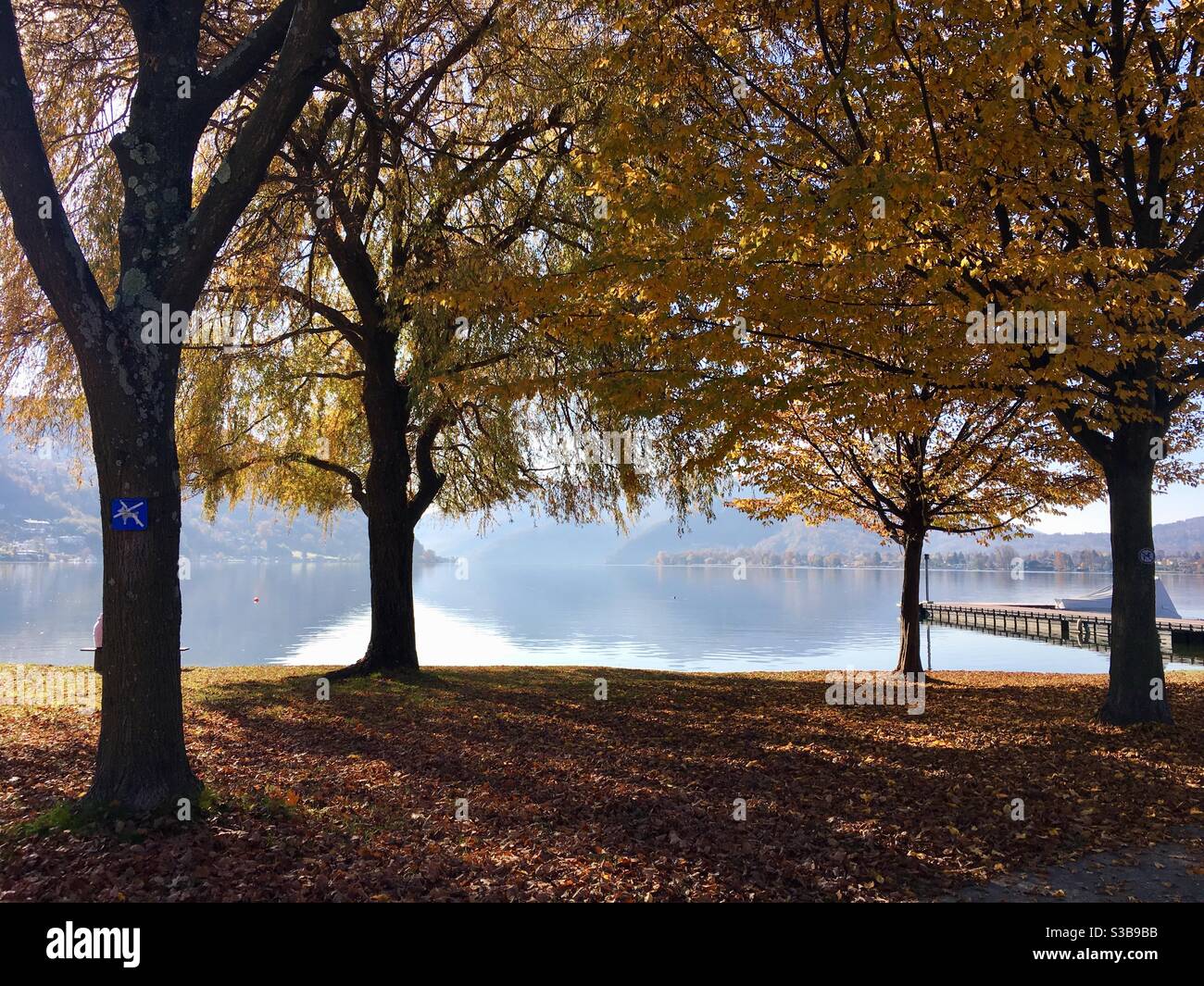 Trees in fall foliage on lake Lugano, Ticino, Switzerland Stock Photo ...