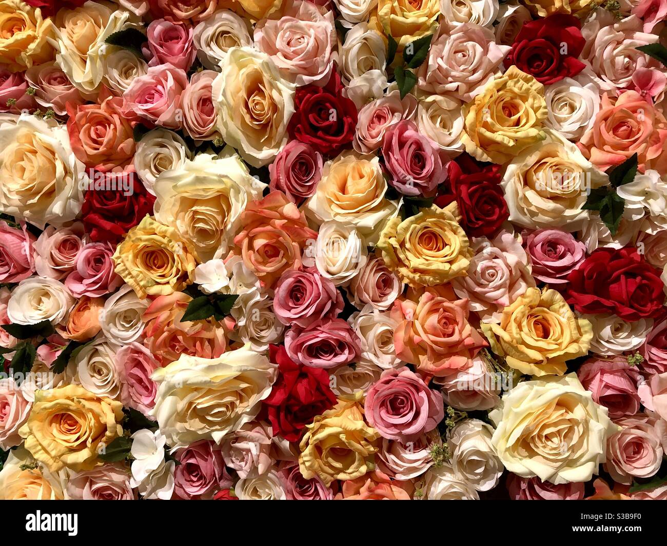 Wall of fabric multi-colored roses Stock Photo - Alamy