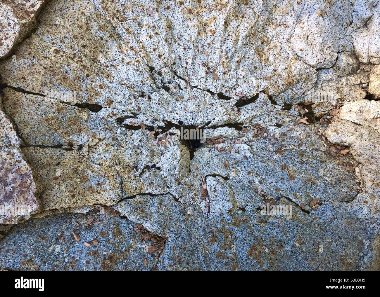 Abysmal hi-res stock photography and images - Alamy