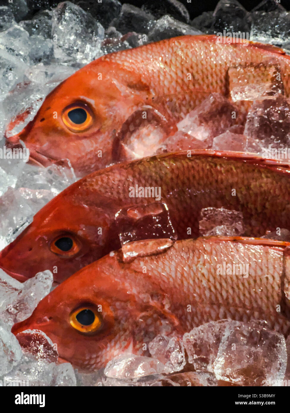 3 red snapper in the supermarket Stock Photo - Alamy