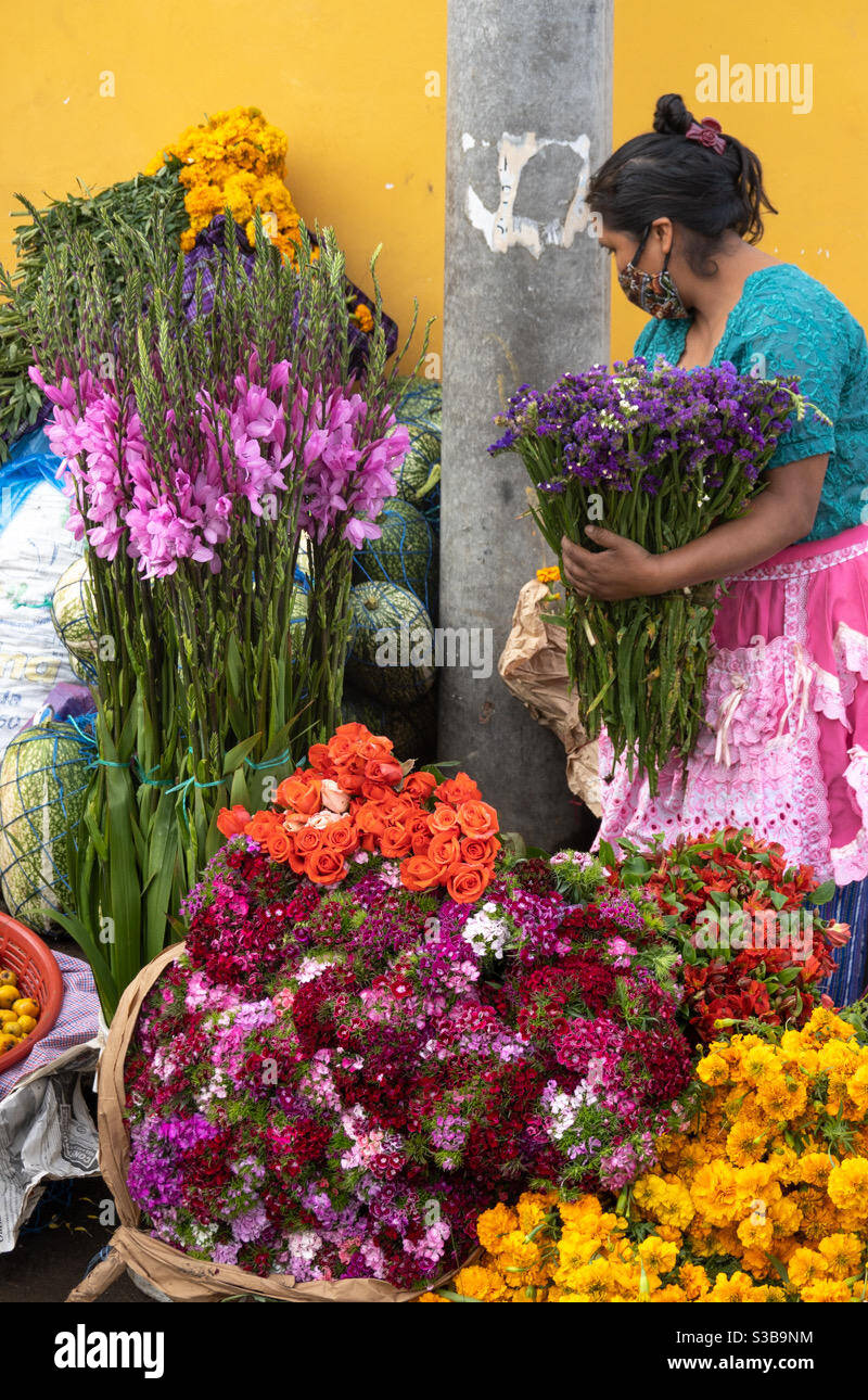 Guatemalan flower hi-res stock photography and images - Alamy