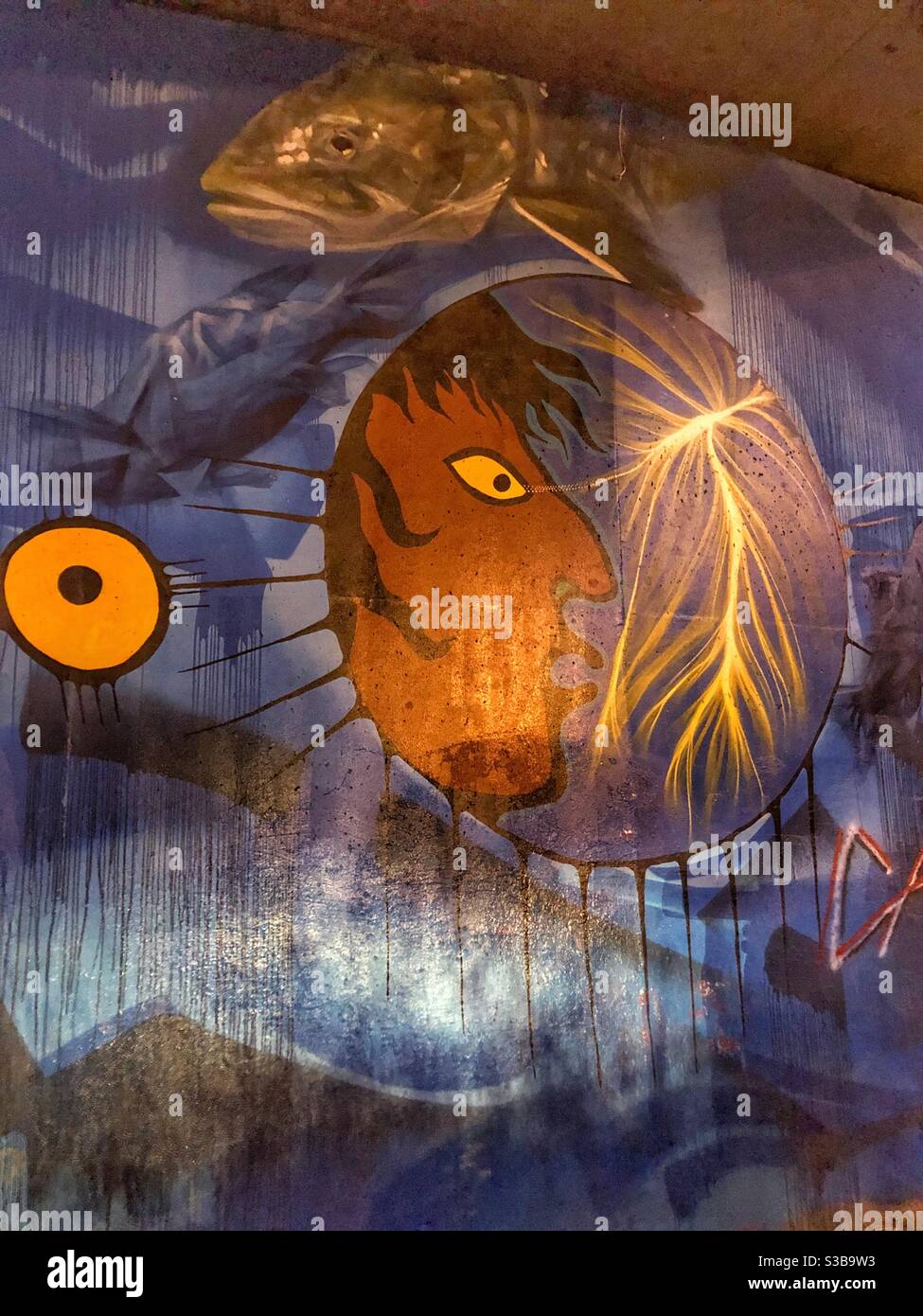 Indigenous urban street art in Toronto, Canada Stock Photo - Alamy