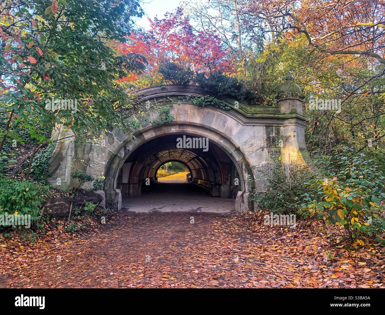 Fall foliage prospect park hi-res stock photography and images - Alamy