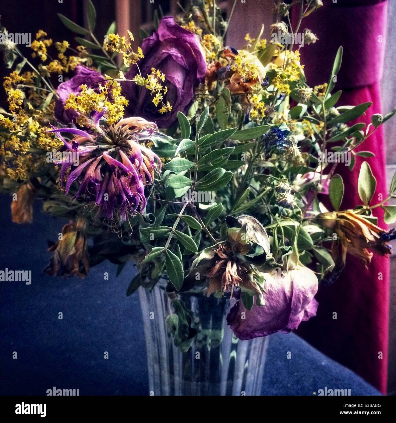 Wilting Flowers High Resolution Stock Photography and Images - Alamy