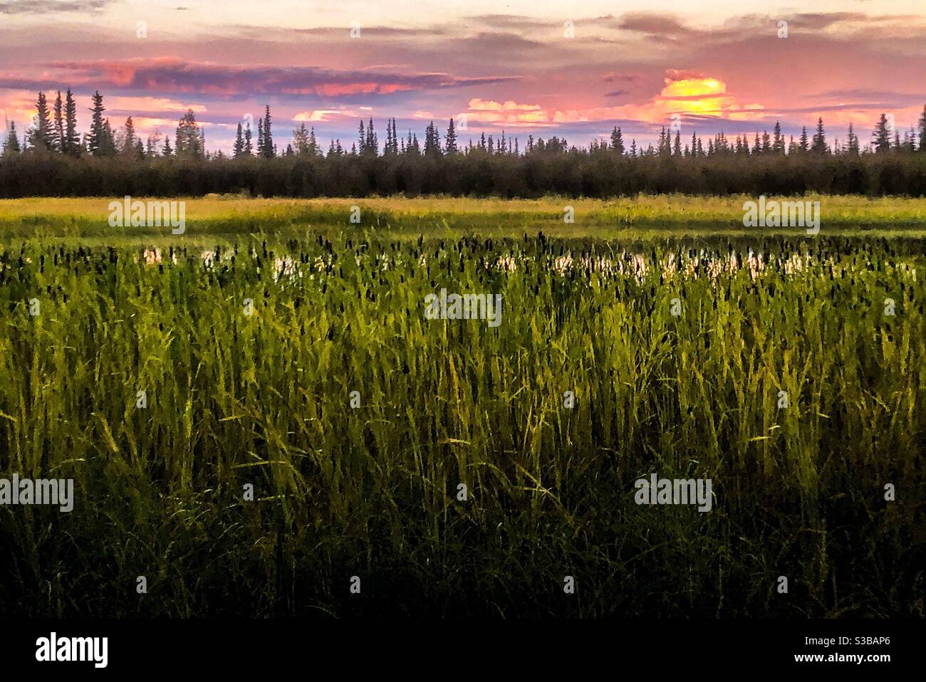 Alaska sunset hi-res stock photography and images - Alamy