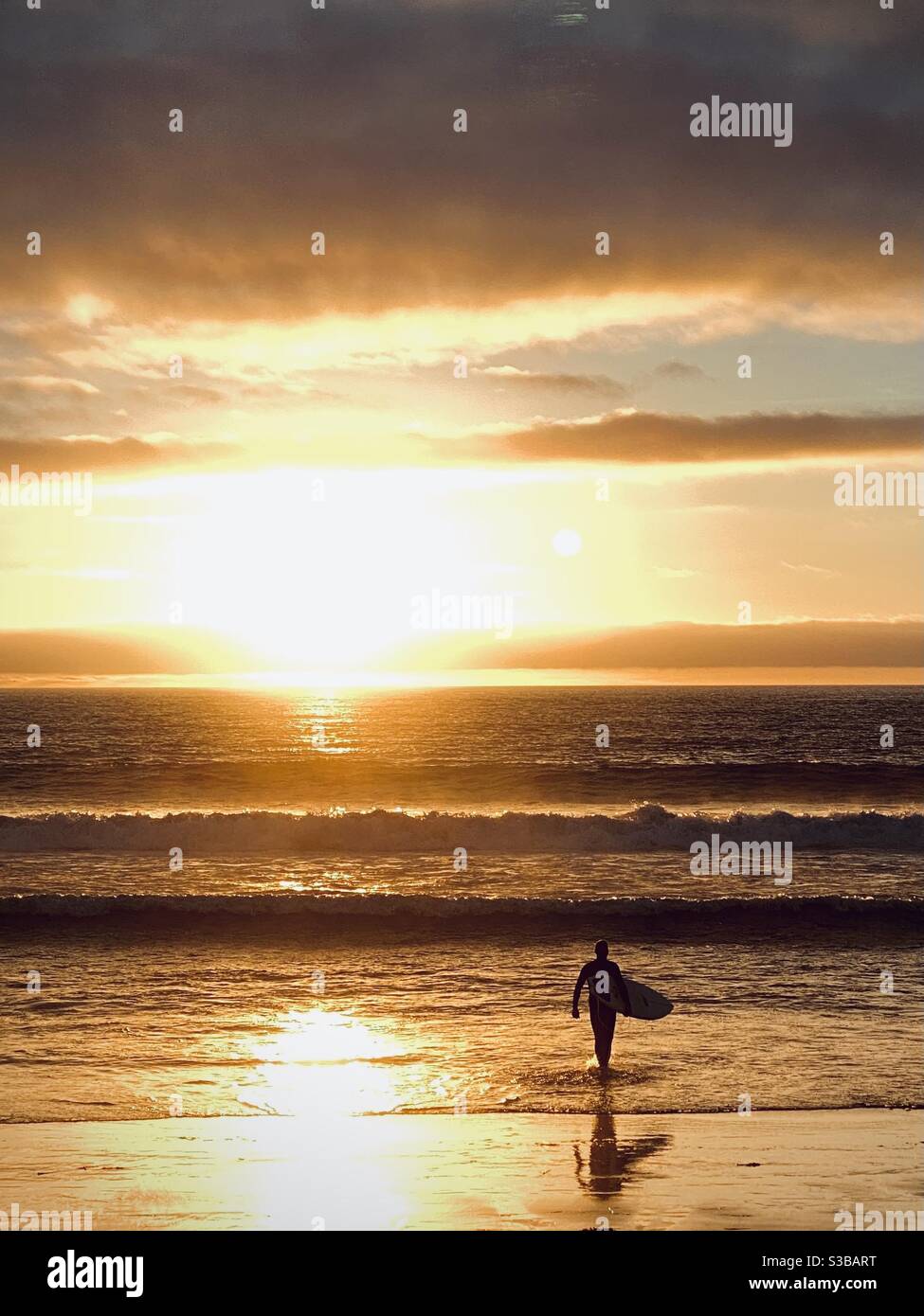 Surfer walks out to surf at sunset. Hermosa Beach, California USA Stock ...