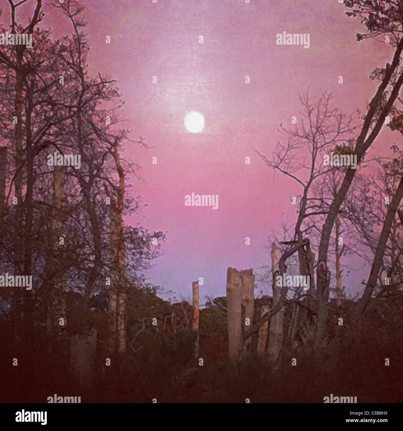 Moonlight photo hi-res stock photography and images - Alamy