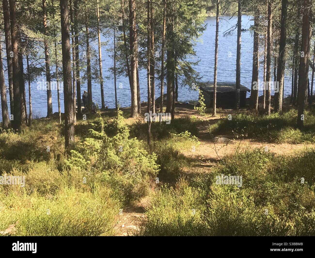 Shed by the lake Stock Photo - Alamy