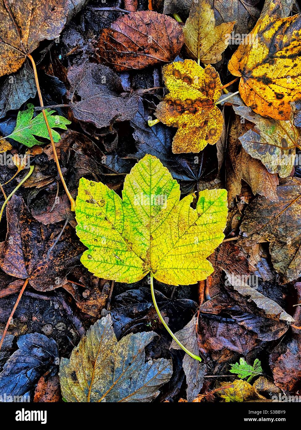 Colour palate hi-res stock photography and images - Alamy