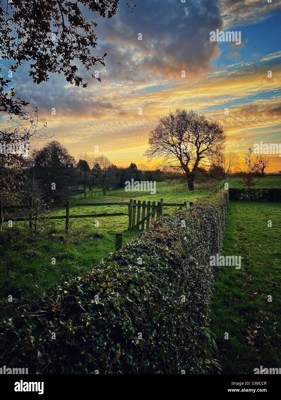 Stunning morning hi-res stock photography and images - Alamy