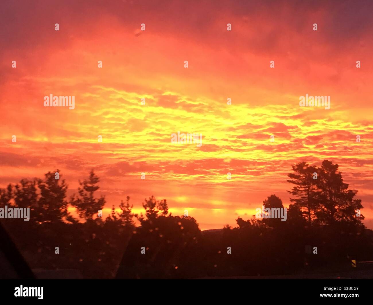 Sunset over tree line Stock Photo - Alamy