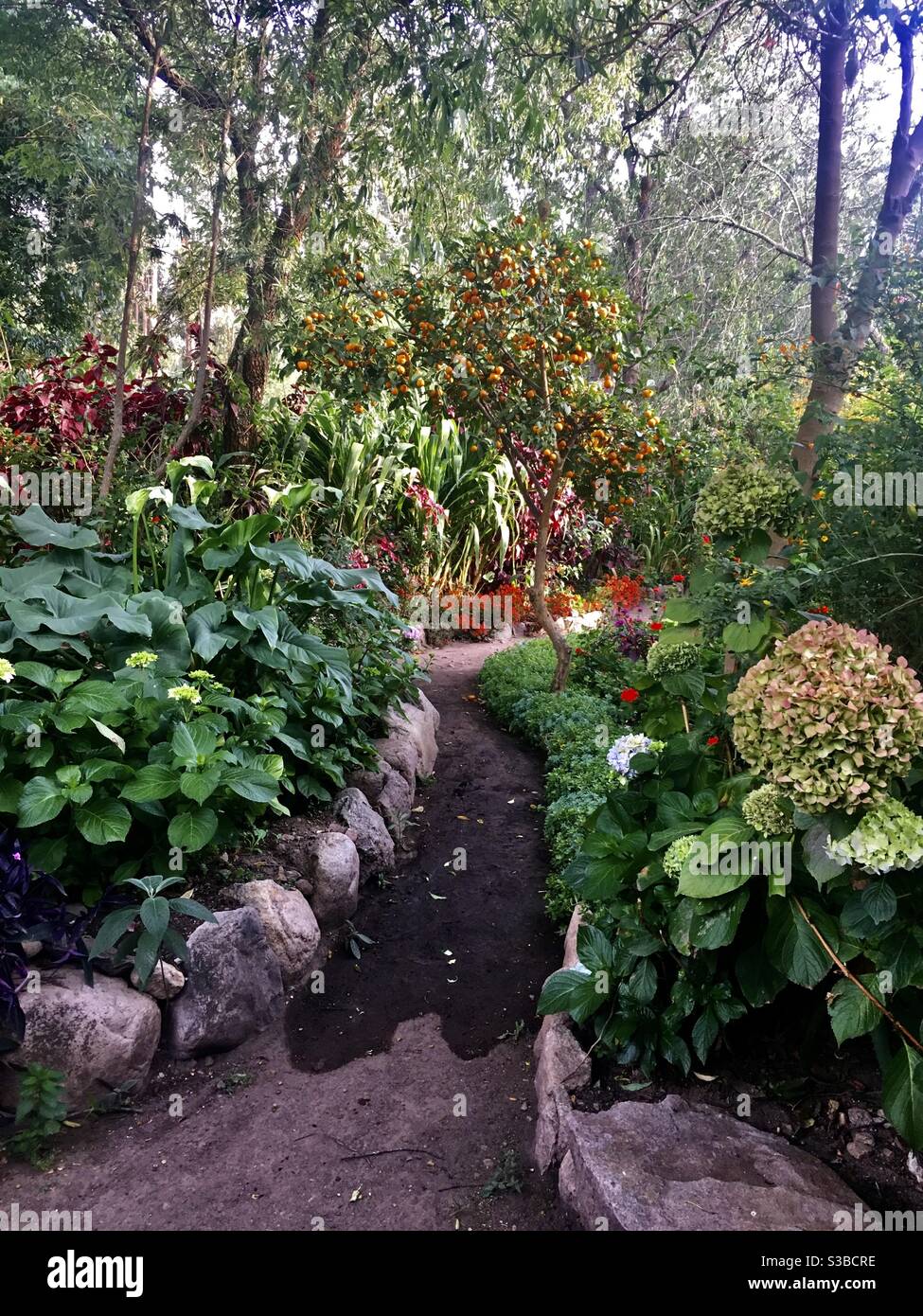 Colorful gardens hi-res stock photography and images - Alamy