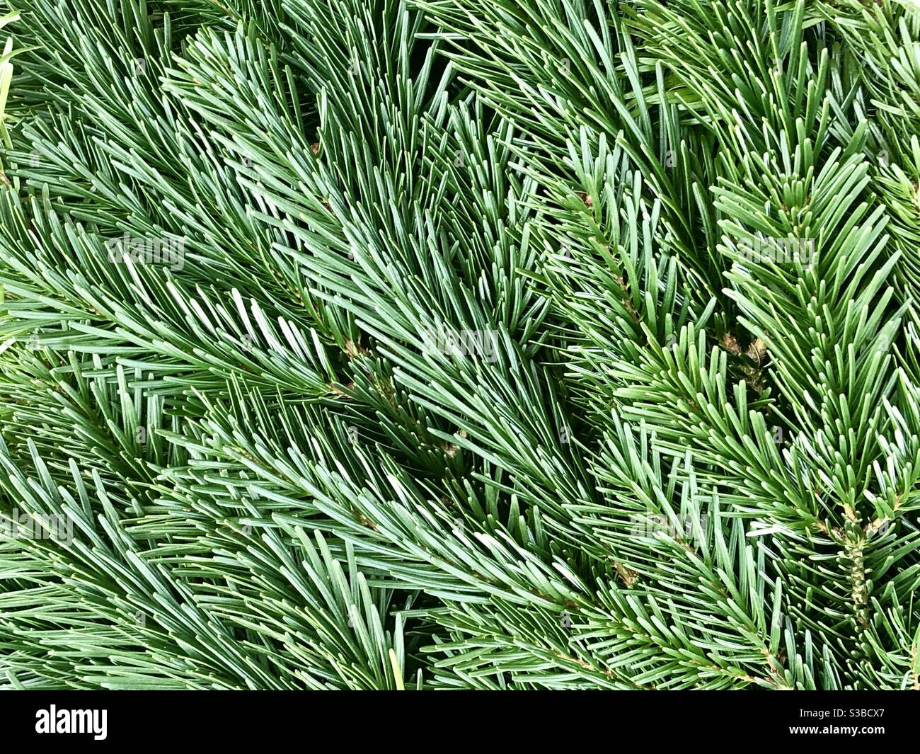 Naturell hi-res stock photography and images - Alamy