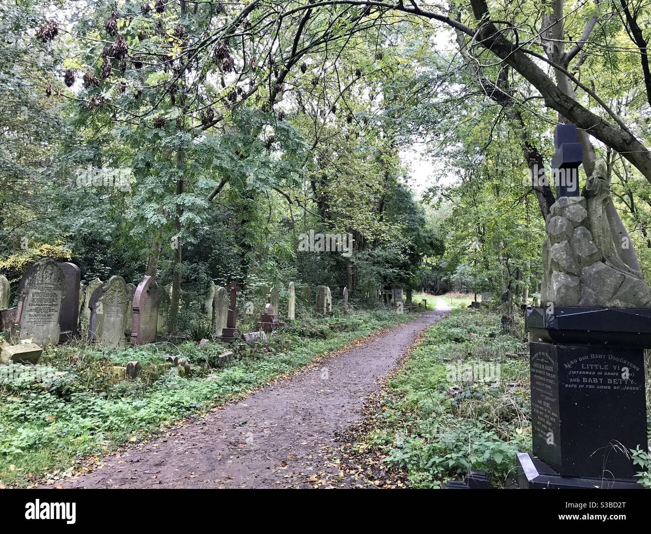 Walk in the cemetery hi-res stock photography and images - Alamy