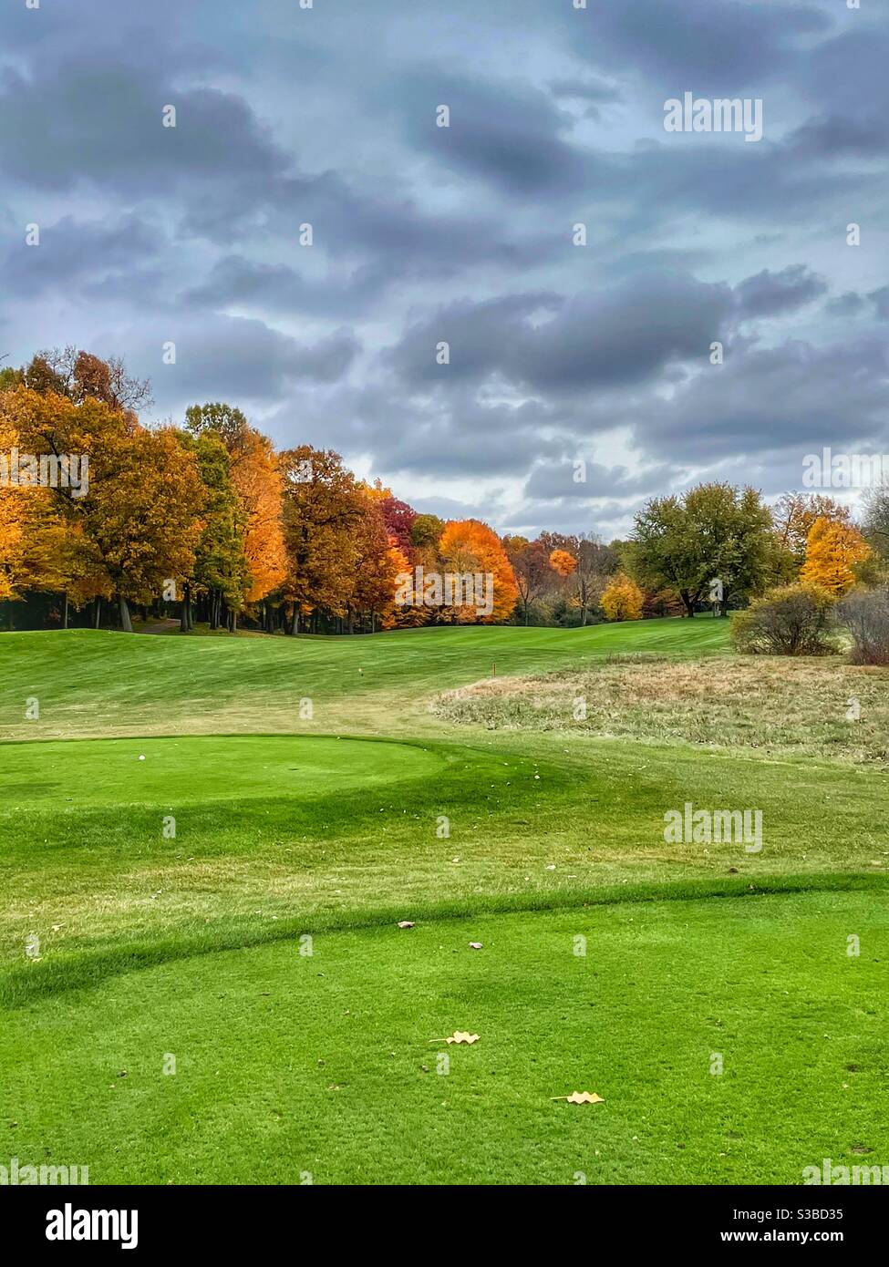 Golf foliage hi-res stock photography and images - Alamy