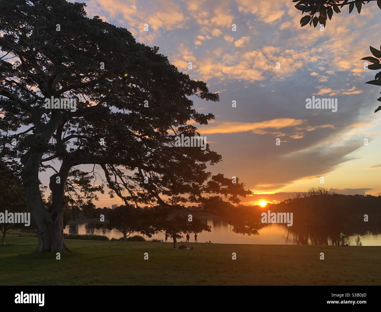 Big tree sunset beautiful sunset hi-res stock photography and images ...