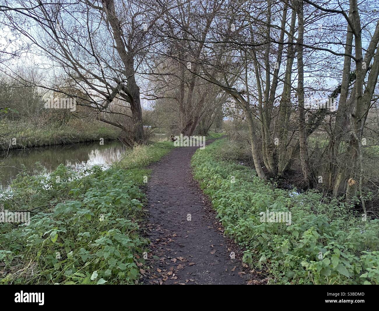 Riverside country hi-res stock photography and images - Alamy