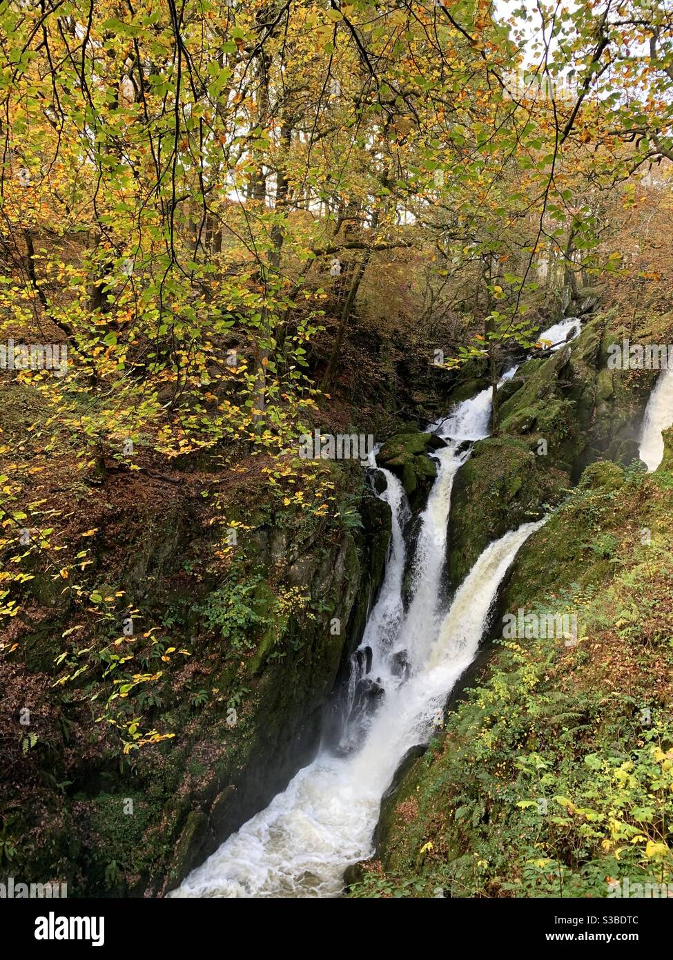 Stock Ghyll Waterfall Stock Photo - Alamy