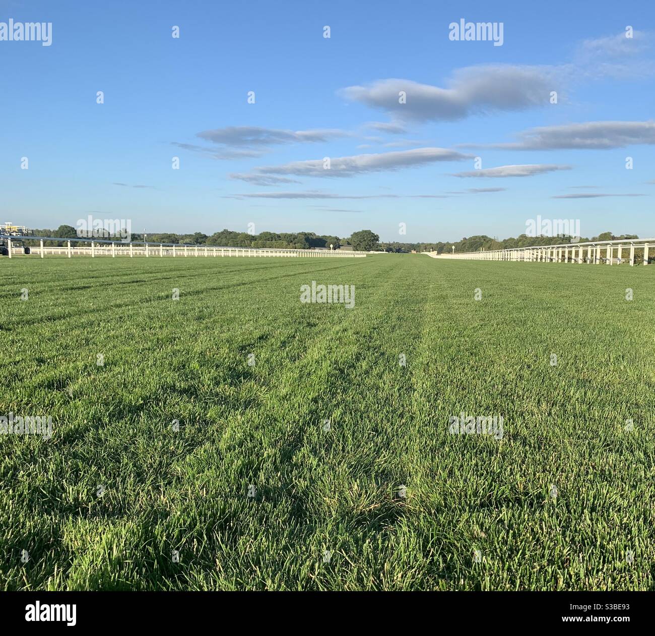 Turf care hi-res stock photography and images - Alamy