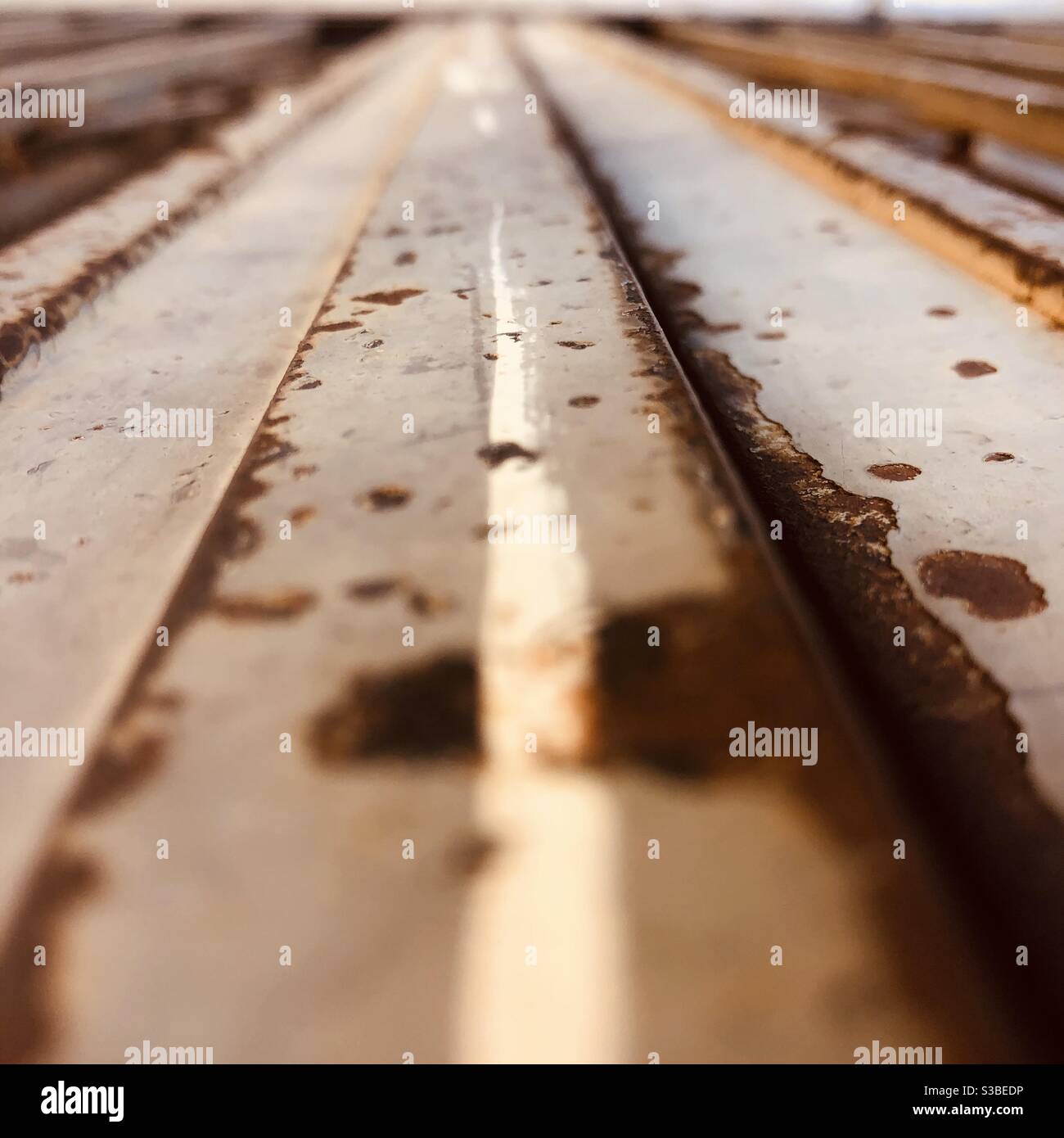 Line OF fire Stock Photo - Alamy