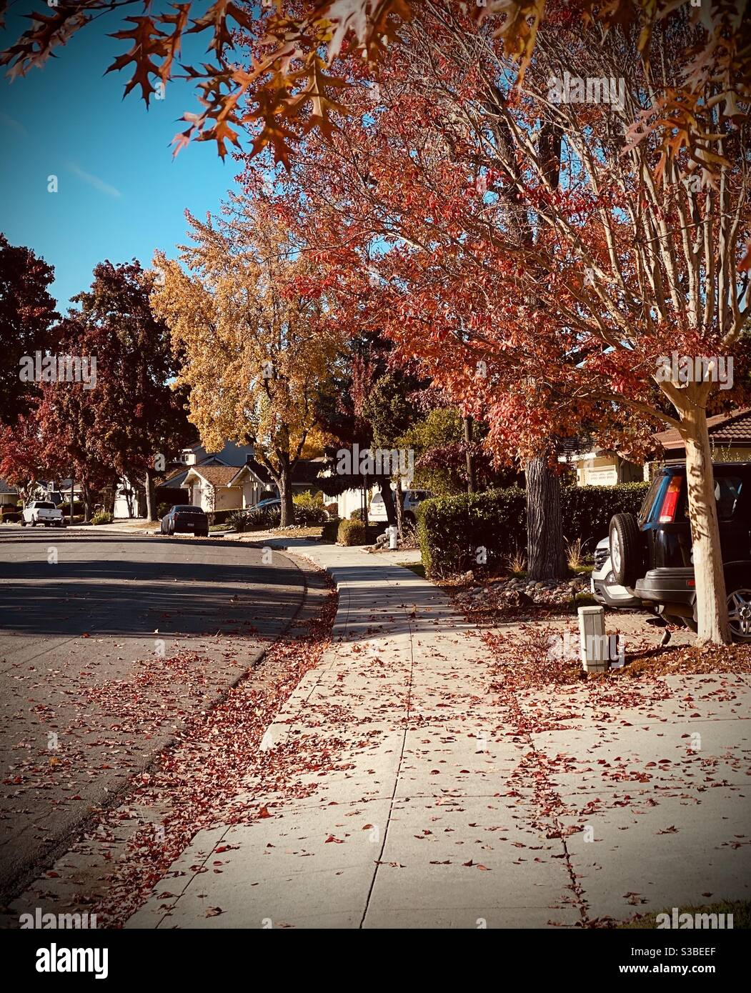 Suburban Fall High Resolution Stock Photography and Images - Alamy
