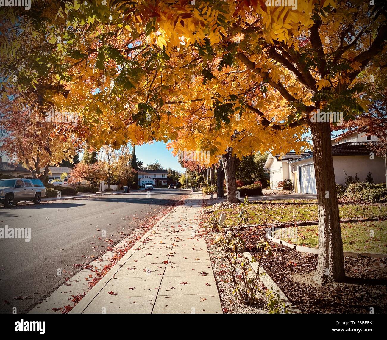 Suburban Fall High Resolution Stock Photography and Images - Alamy