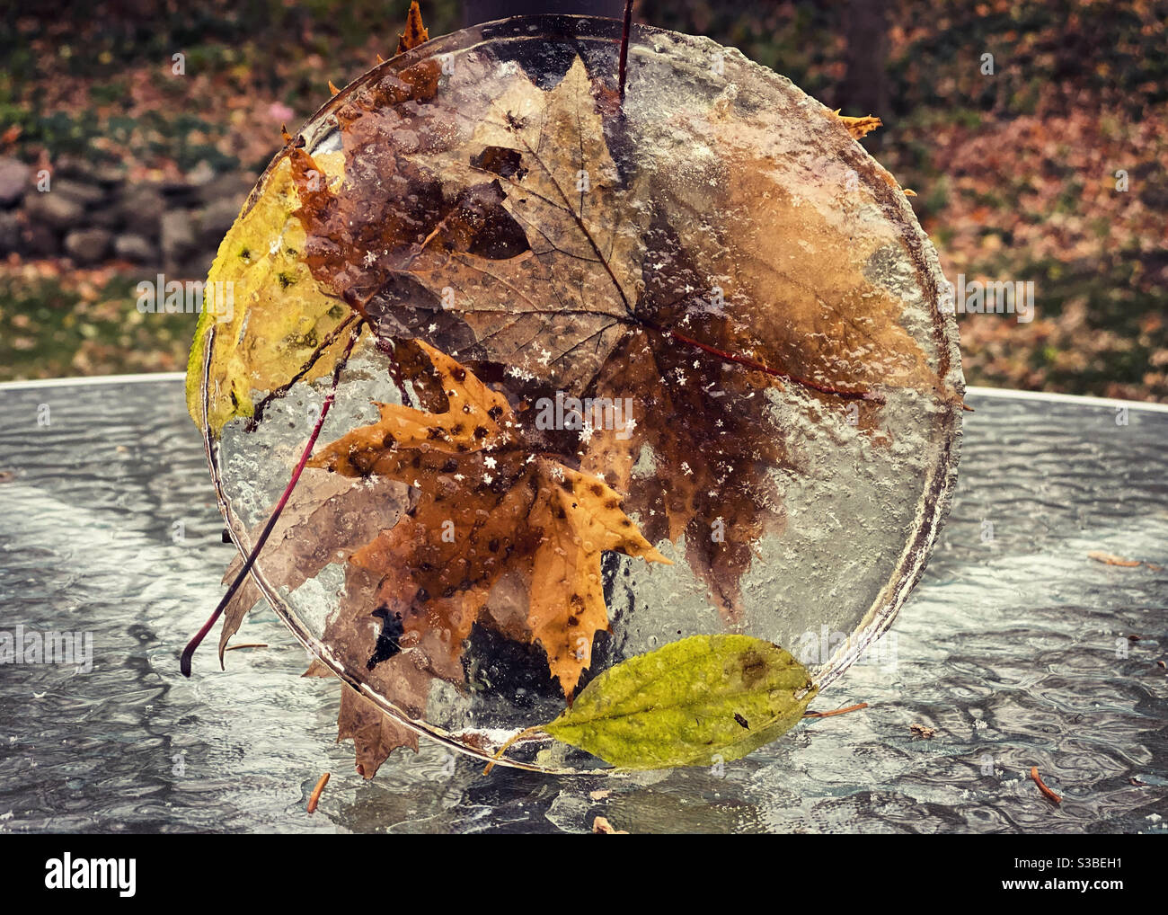 Frozen solid hi-res stock photography and images - Alamy