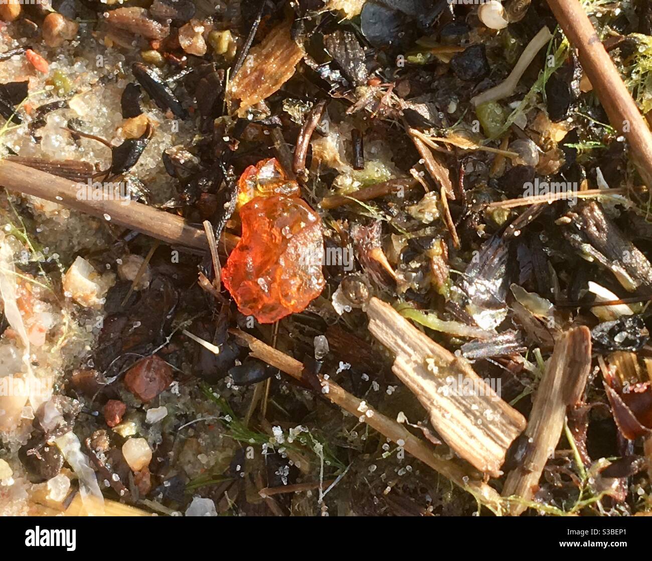 Amber lithuania hi-res stock photography and images - Alamy
