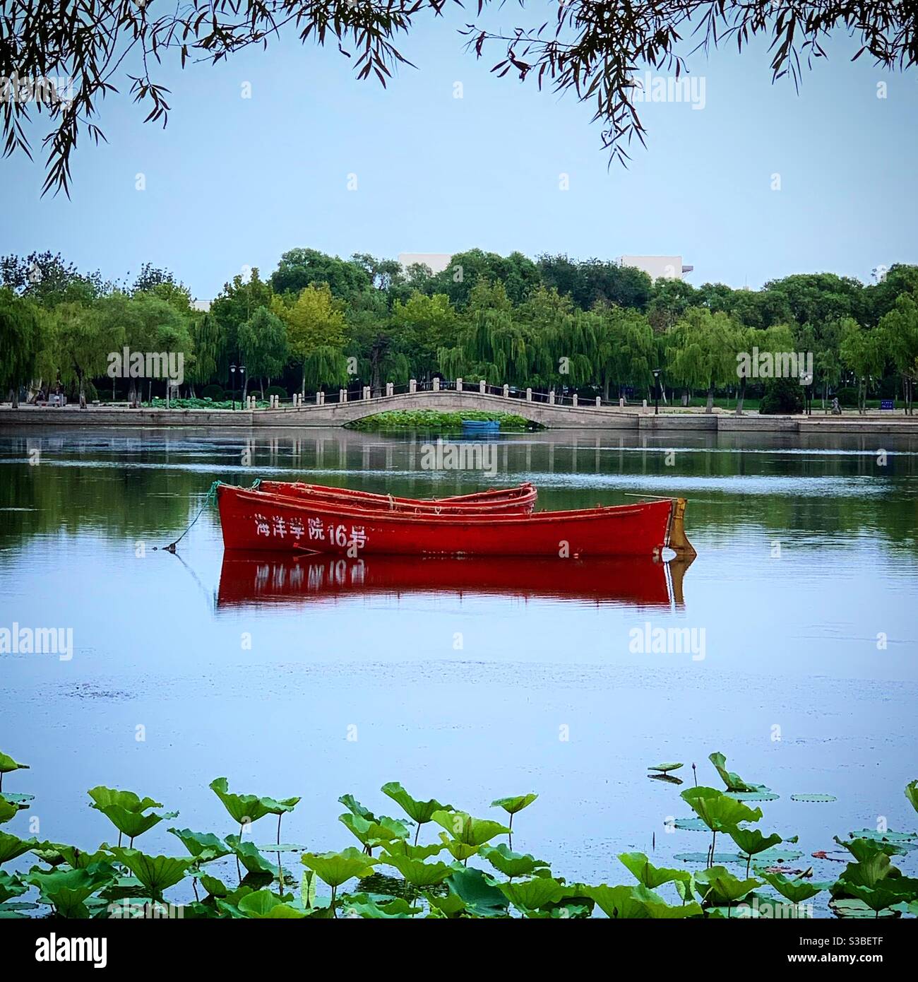 Yantai university hi-res stock photography and images - Alamy