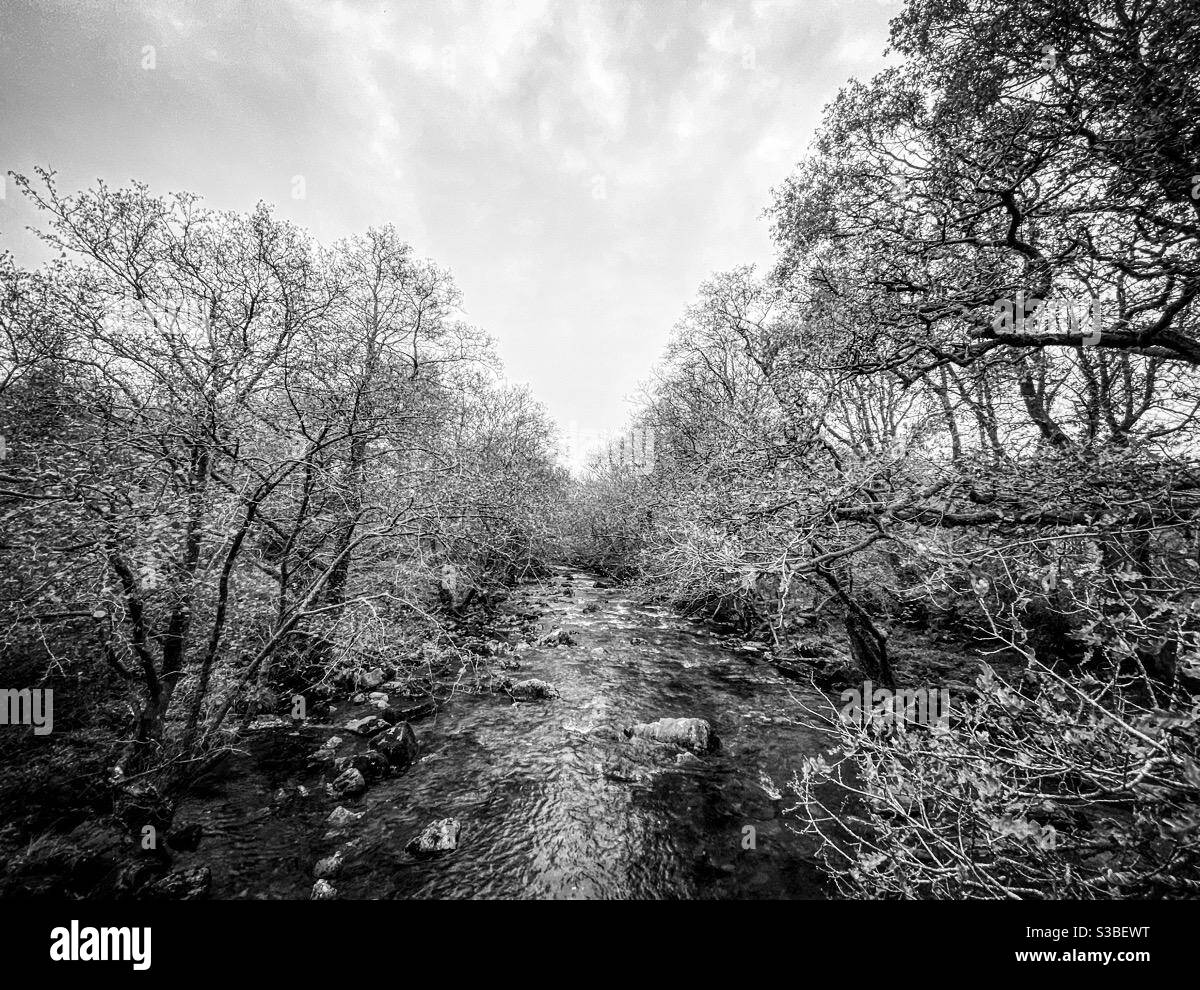 River Tavy High Resolution Stock Photography and Images - Alamy