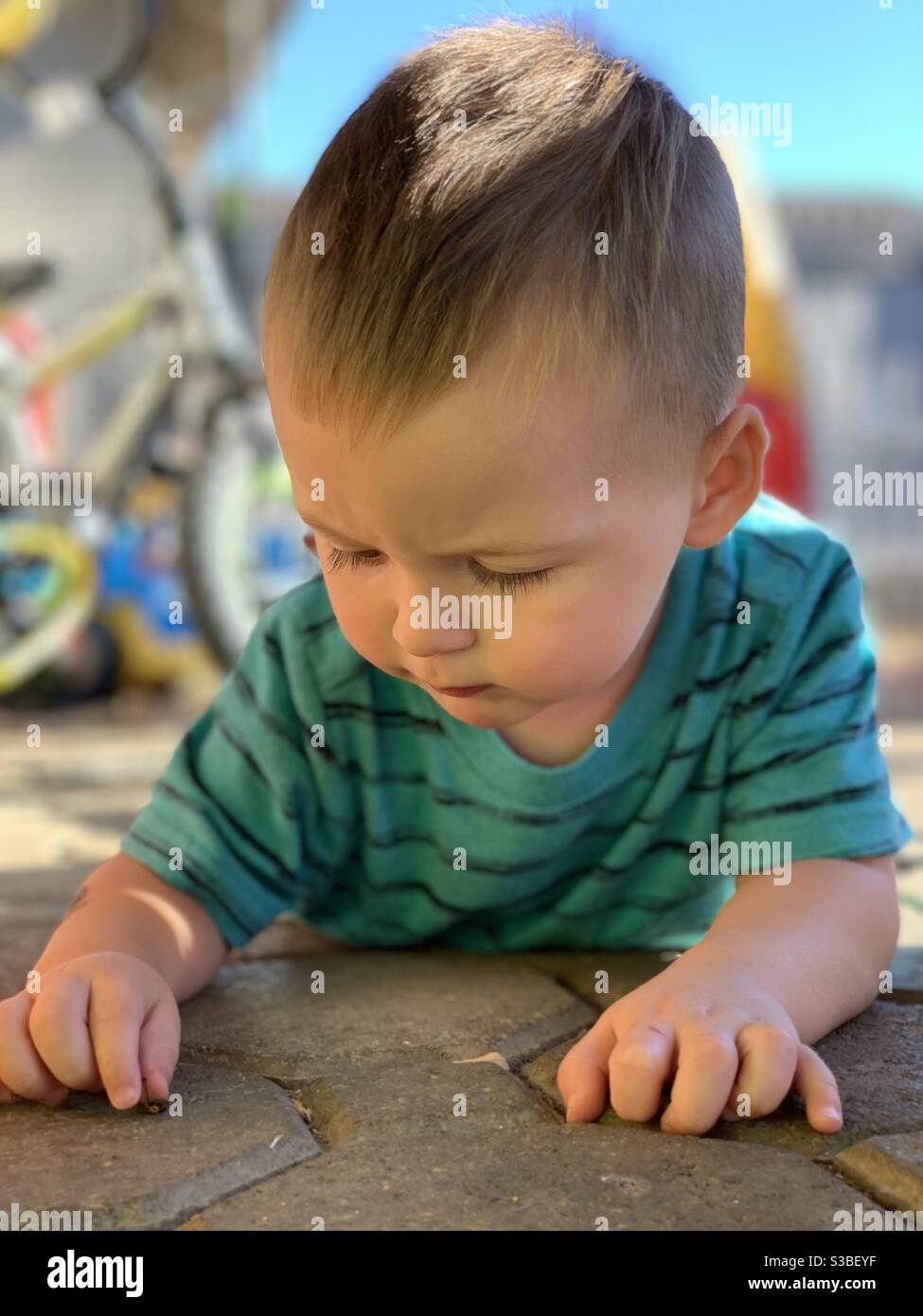 Catching bugs hi-res stock photography and images - Alamy