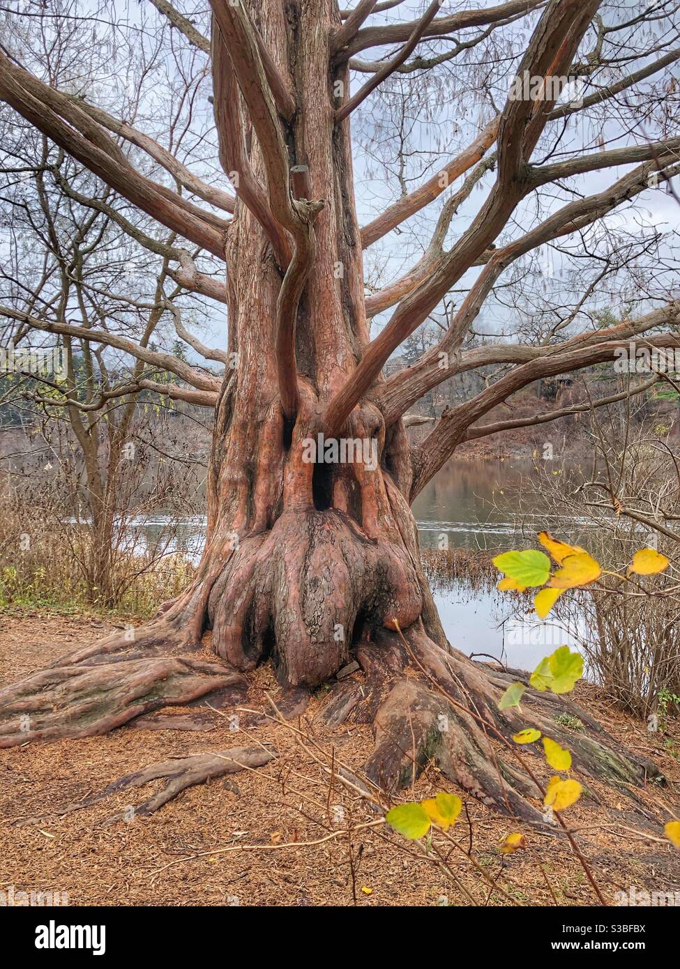 Stark barren landscape hi-res stock photography and images - Alamy
