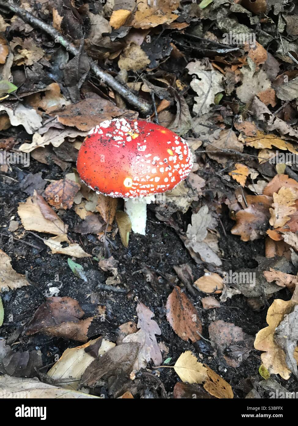 1up hi-res stock photography and images - Alamy