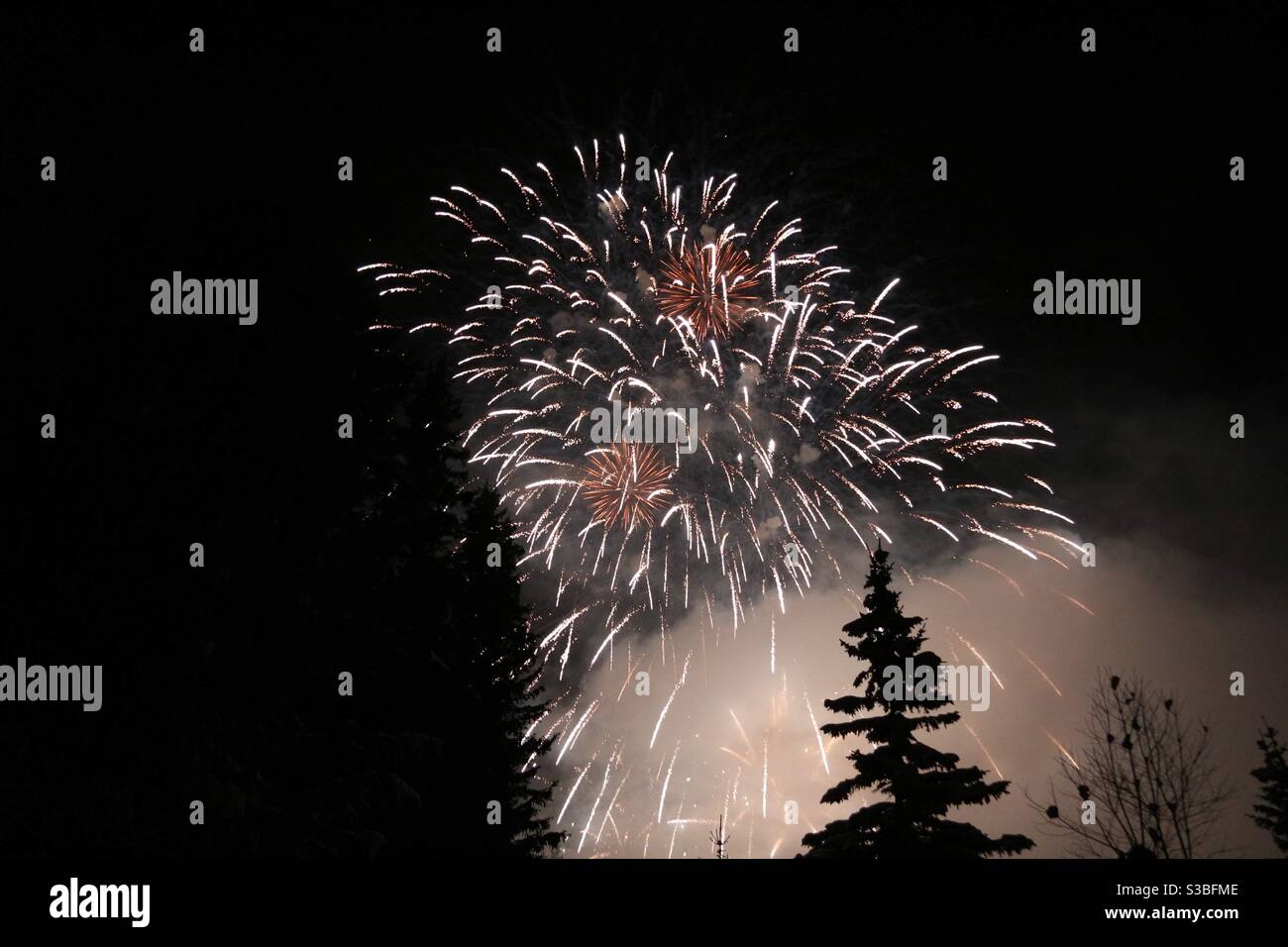Fireworks behind trees hi-res stock photography and images - Alamy