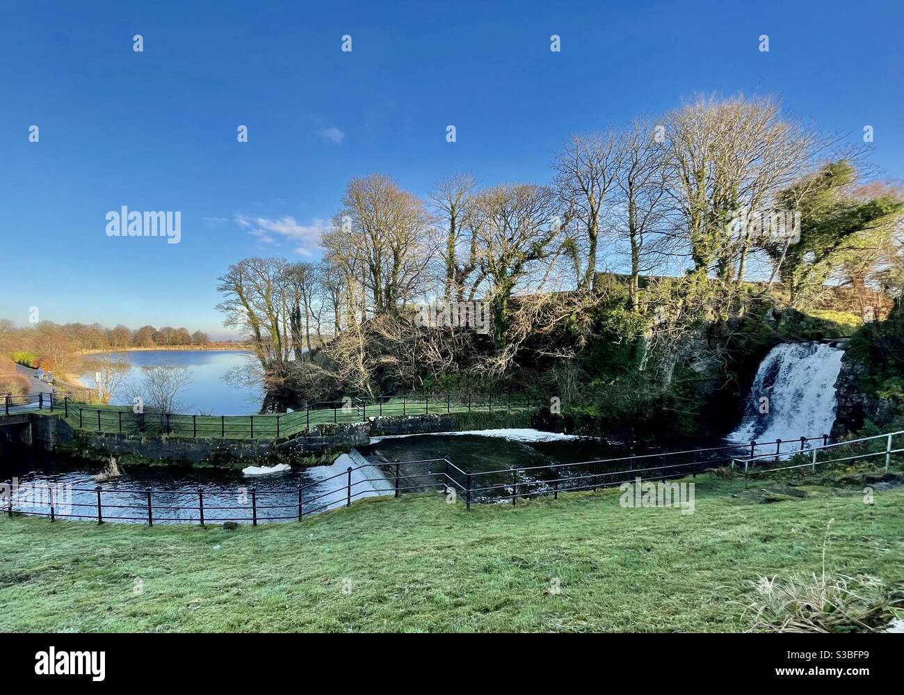 Darnley hi-res stock photography and images - Alamy