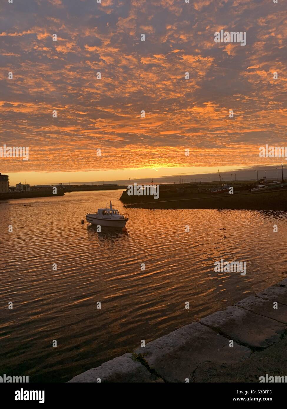 Early riser hi-res stock photography and images - Alamy