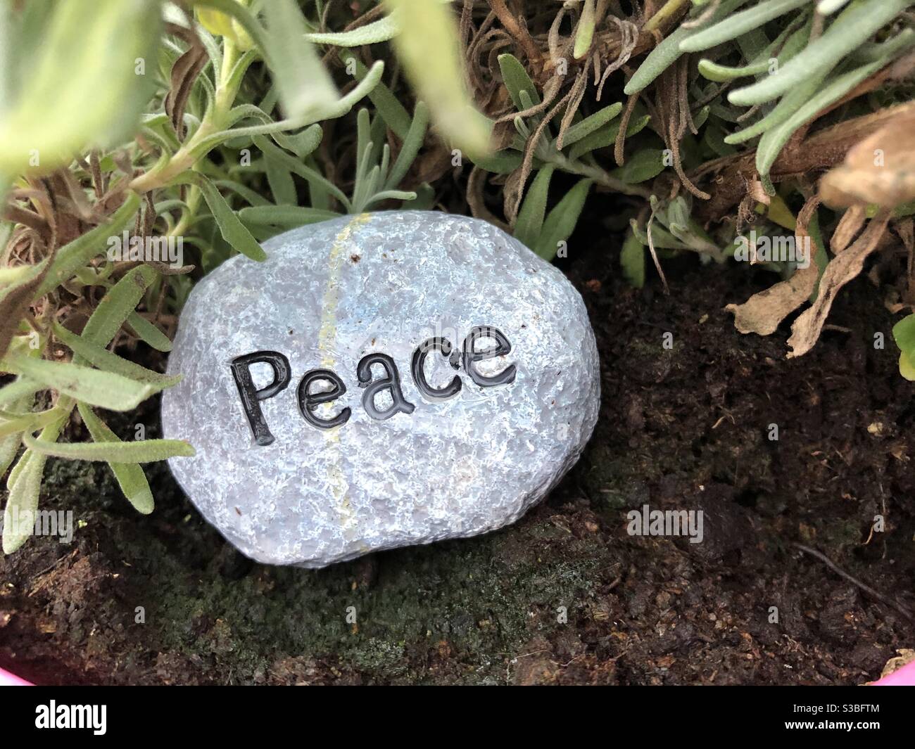Peace garden hi-res stock photography and images - Alamy