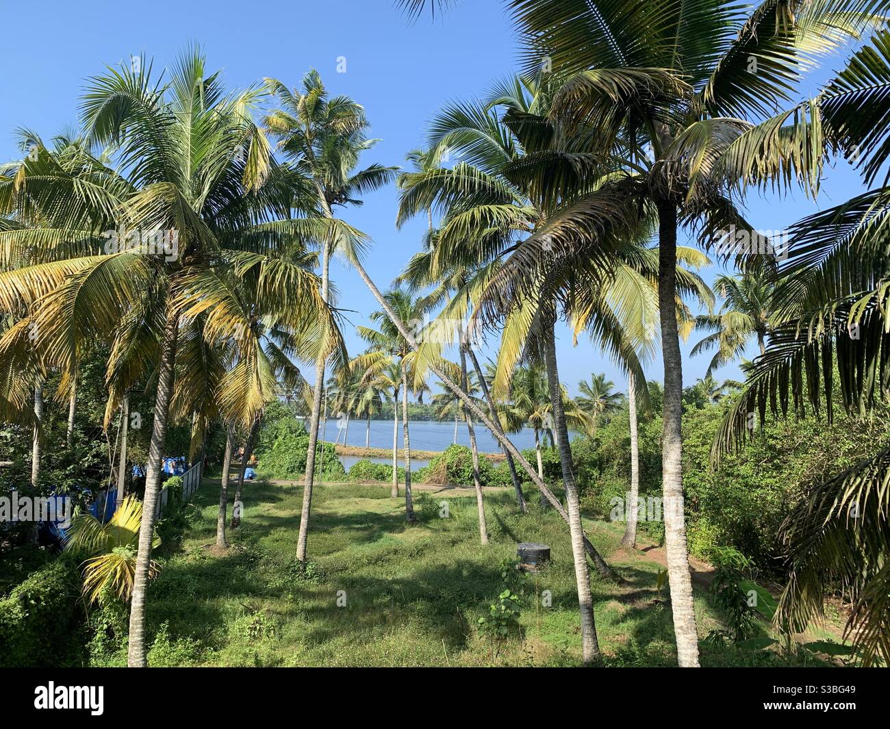Kerala alappuzha hi-res stock photography and images - Alamy