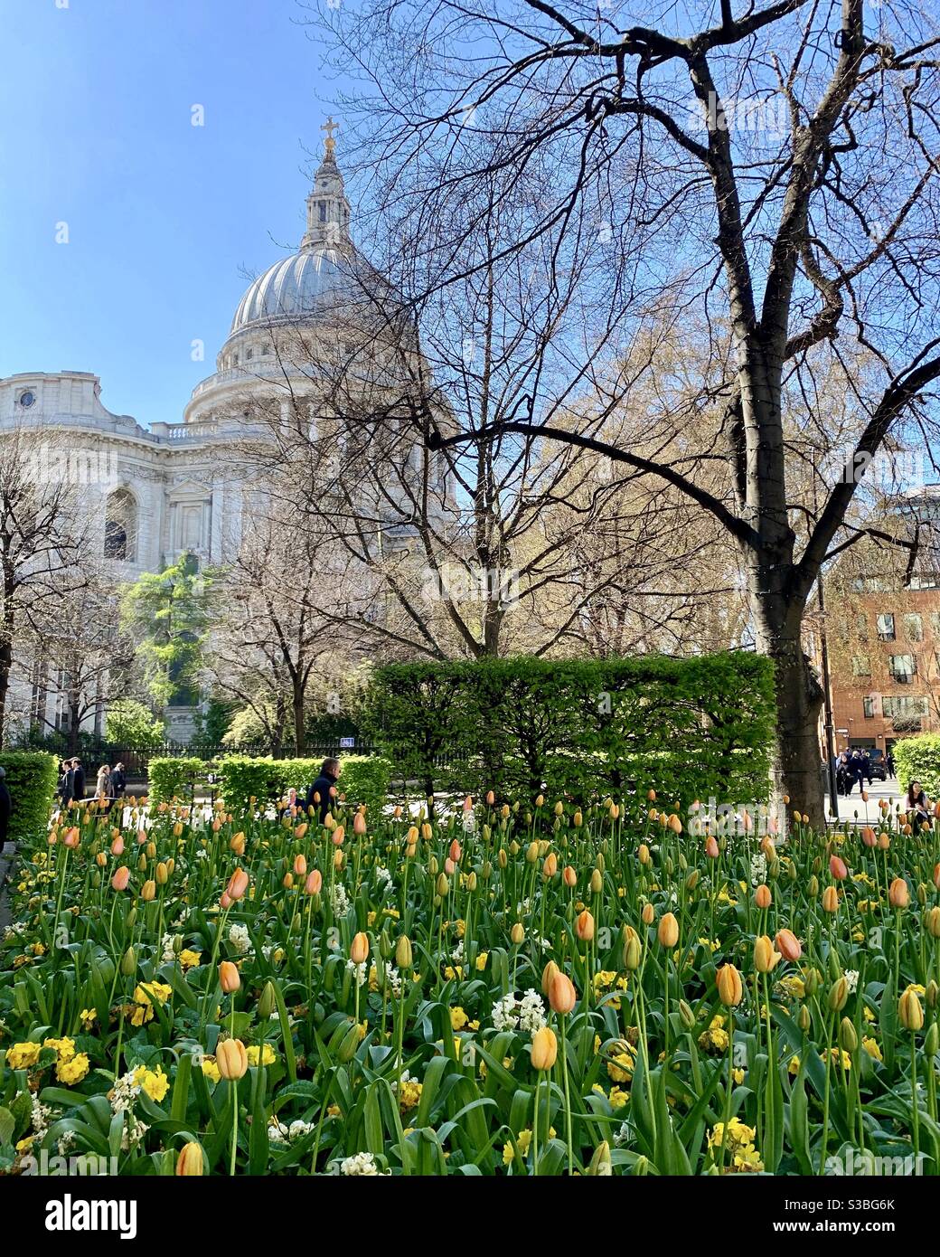 St. Paul’s In spring Stock Photo - Alamy