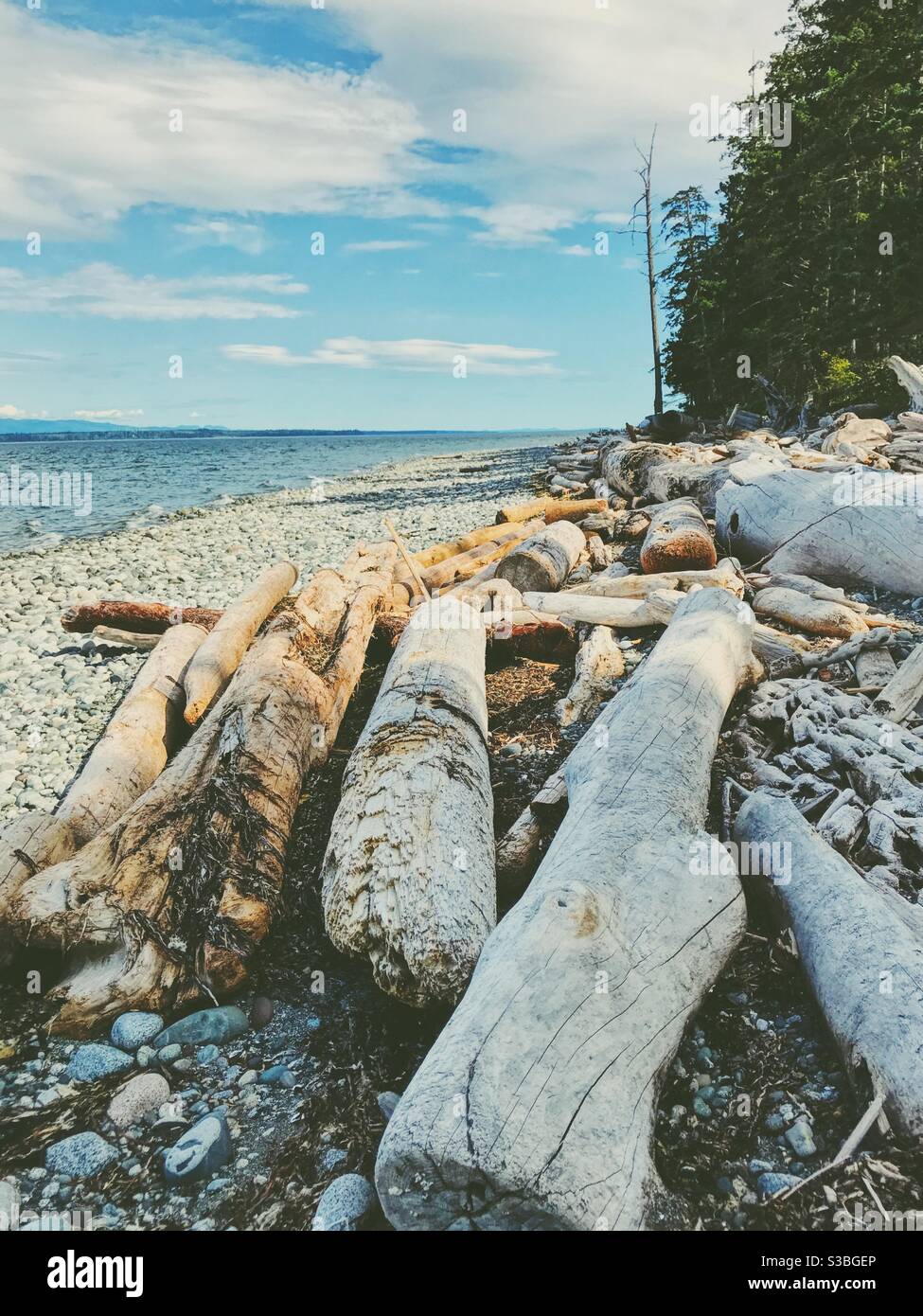 Logging industry canada logs hi-res stock photography and images - Alamy