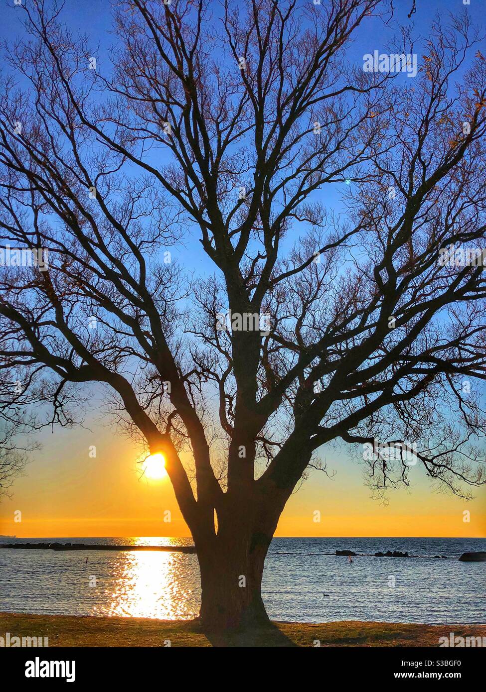 Beautiful sunrise over Lake Ontario in Toronto, Canada Stock Photo - Alamy