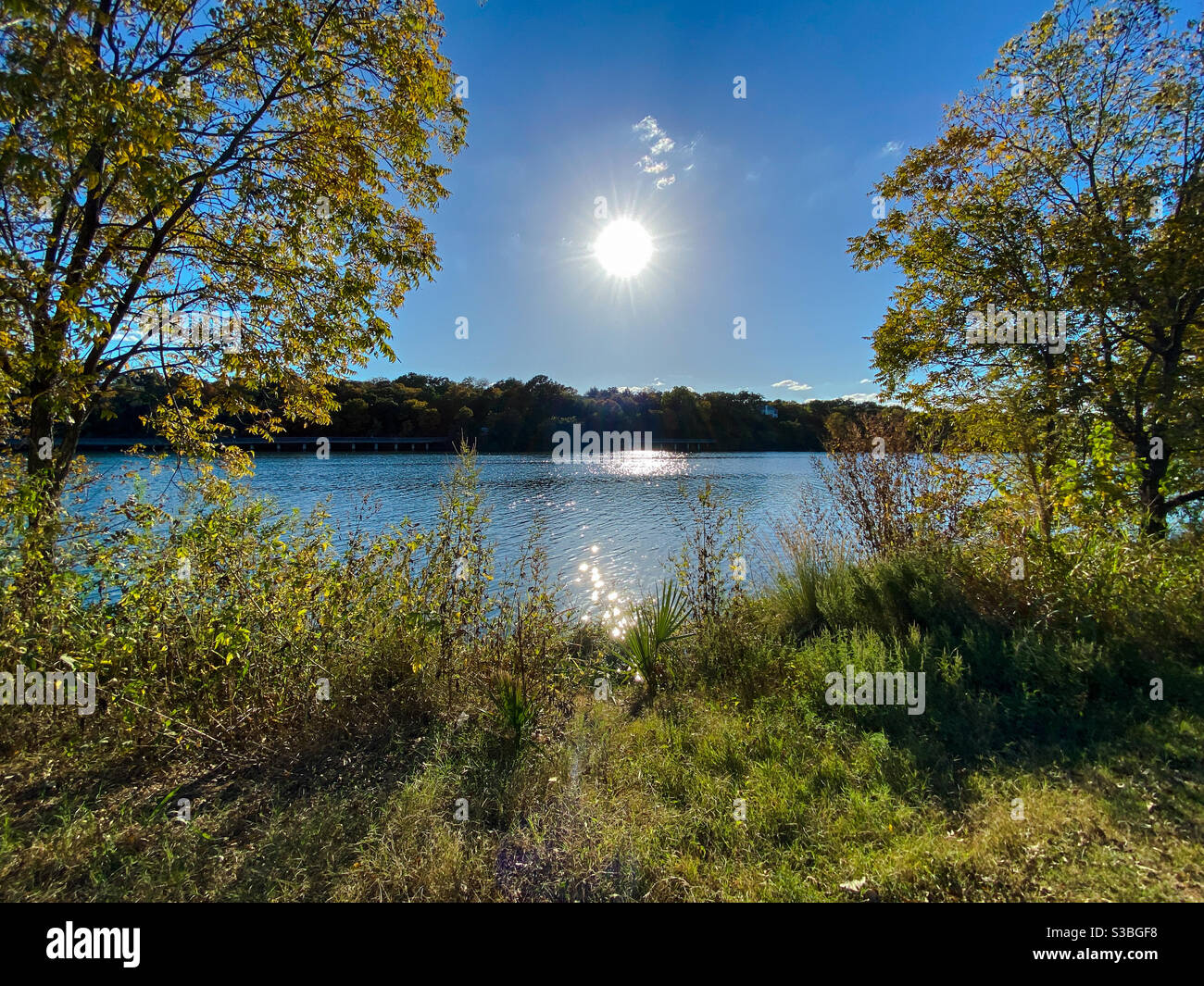 Lady bird lake austin hi-res stock photography and images - Alamy