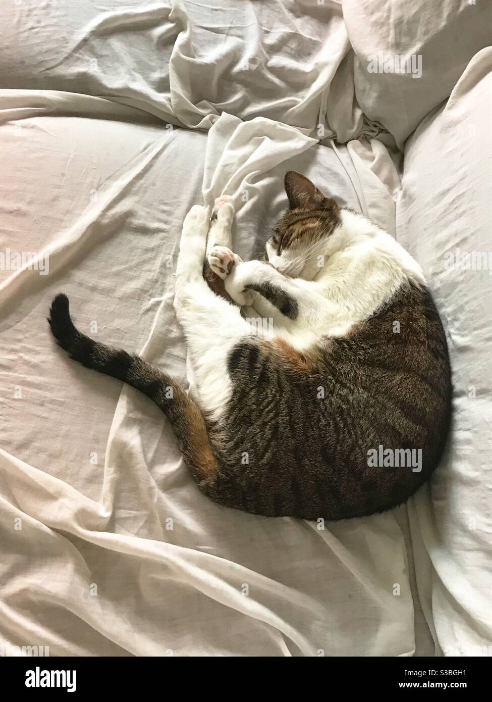 Indoor view from above hi-res stock photography and images - Alamy