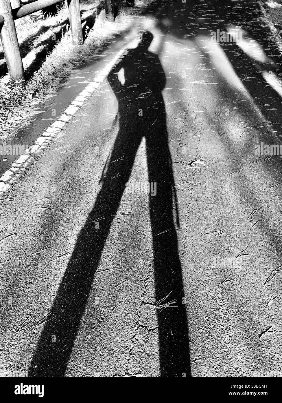 Tall stand hi-res stock photography and images - Alamy