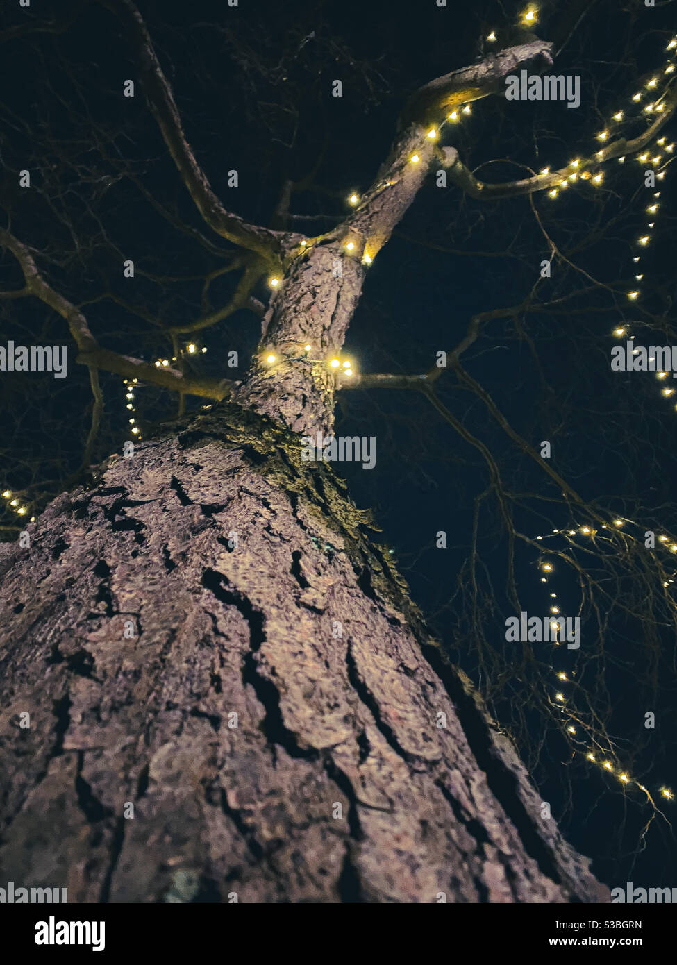 Lights at night background hi-res stock photography and images - Alamy