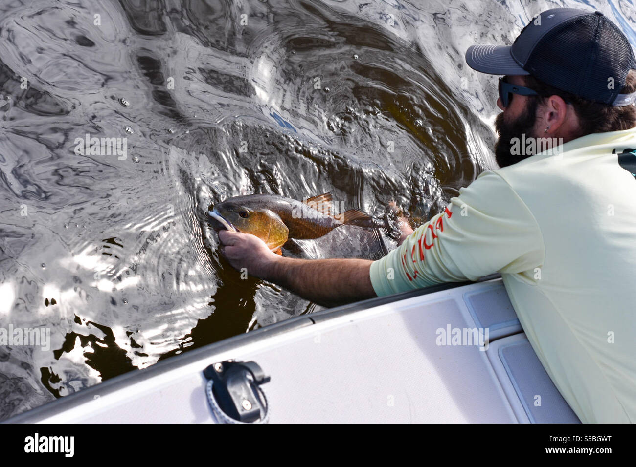 Man releasing fish back into the wild Stock Photo - Alamy