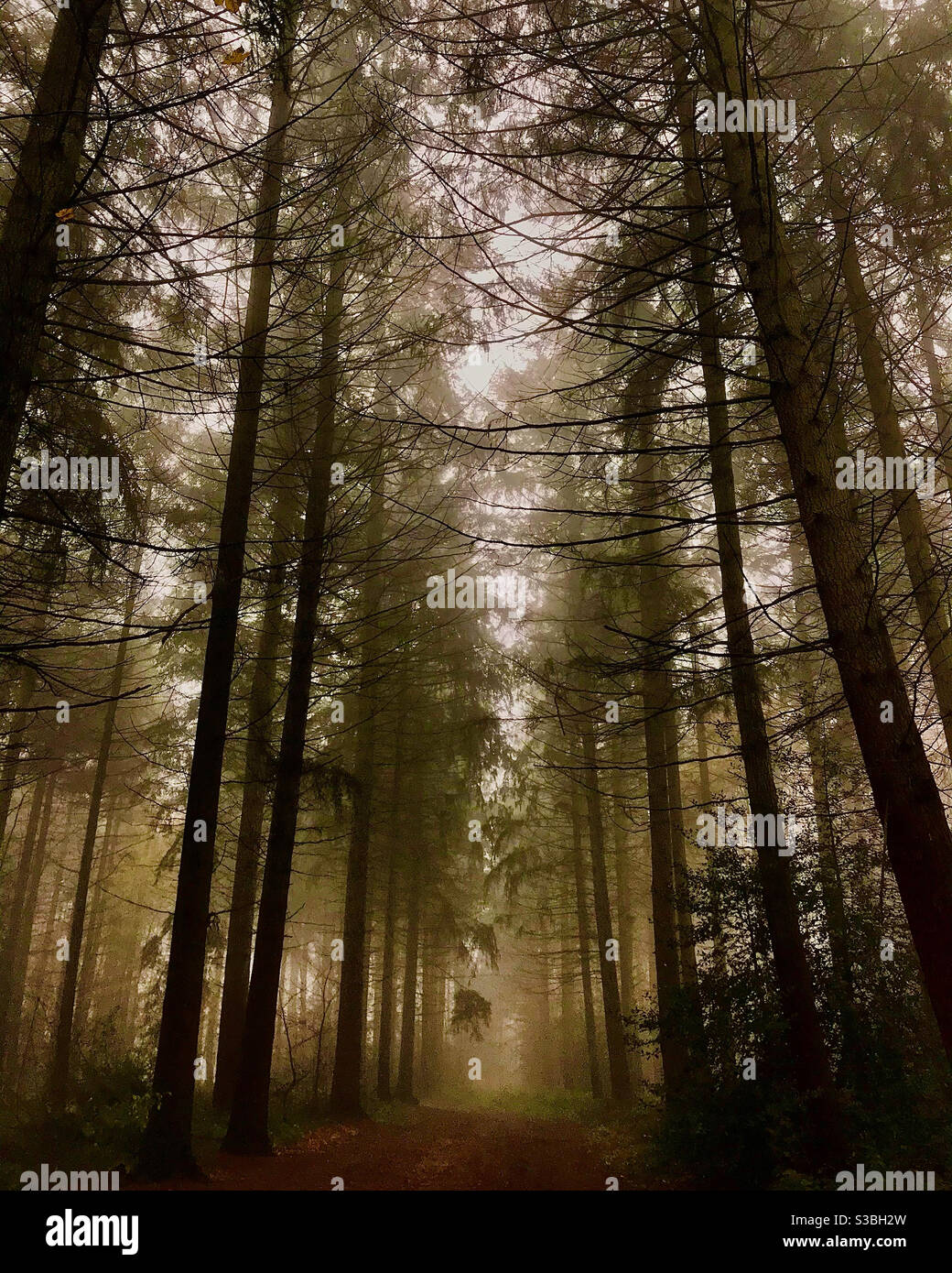 Dark and dull hi-res stock photography and images - Alamy