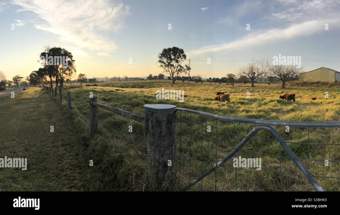 Paddock Gate High Resolution Stock Photography and Images - Alamy