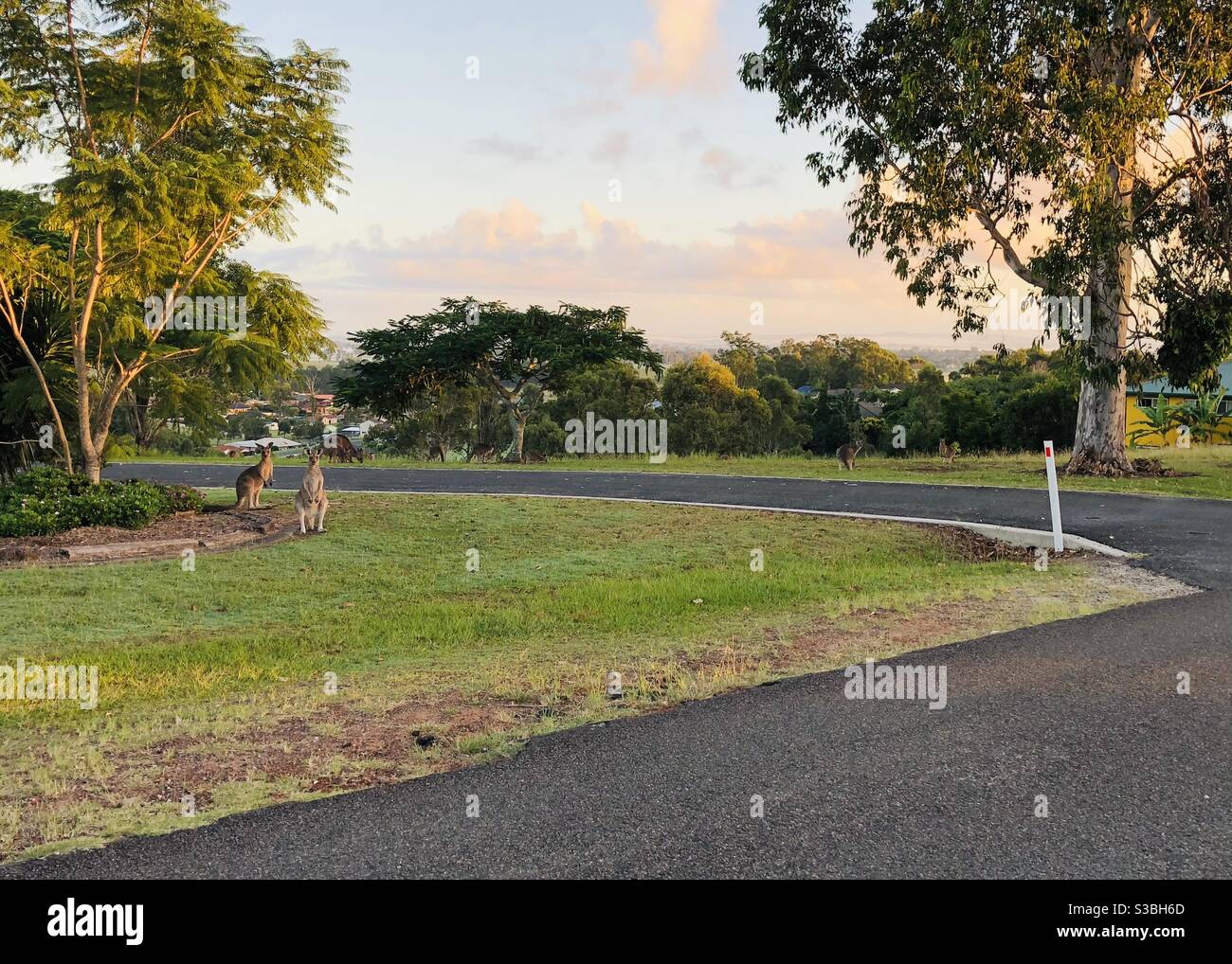 Australian suburb hi-res stock photography and images - Alamy